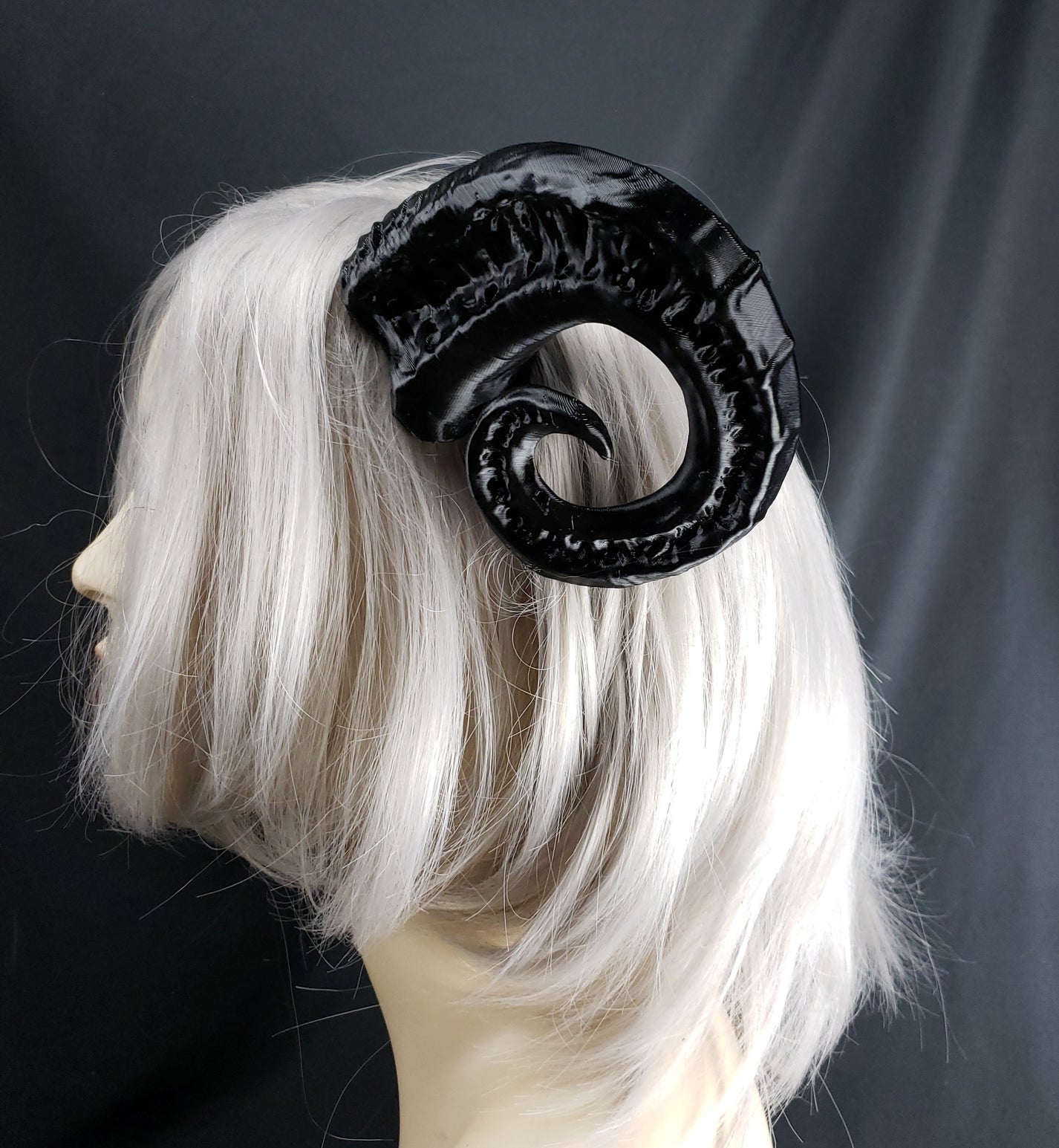Small Curved Goat Horns- In Stock – Firebird Leather